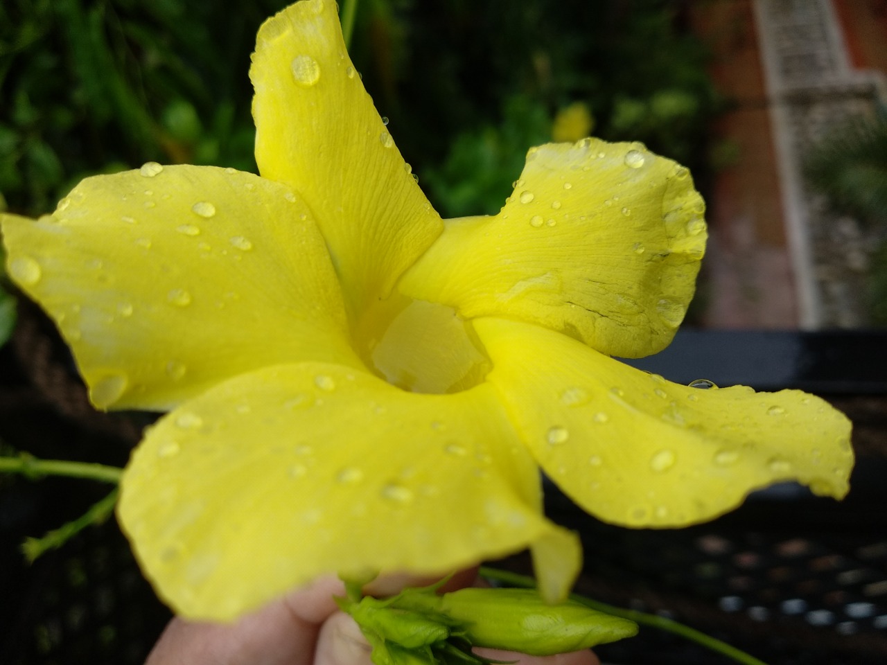 Uravu Labs produces water with atmospheric moisture