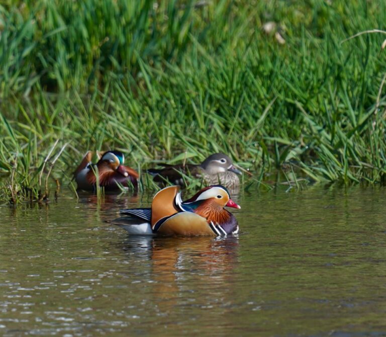 Blue economy in India supports livelihoods and development