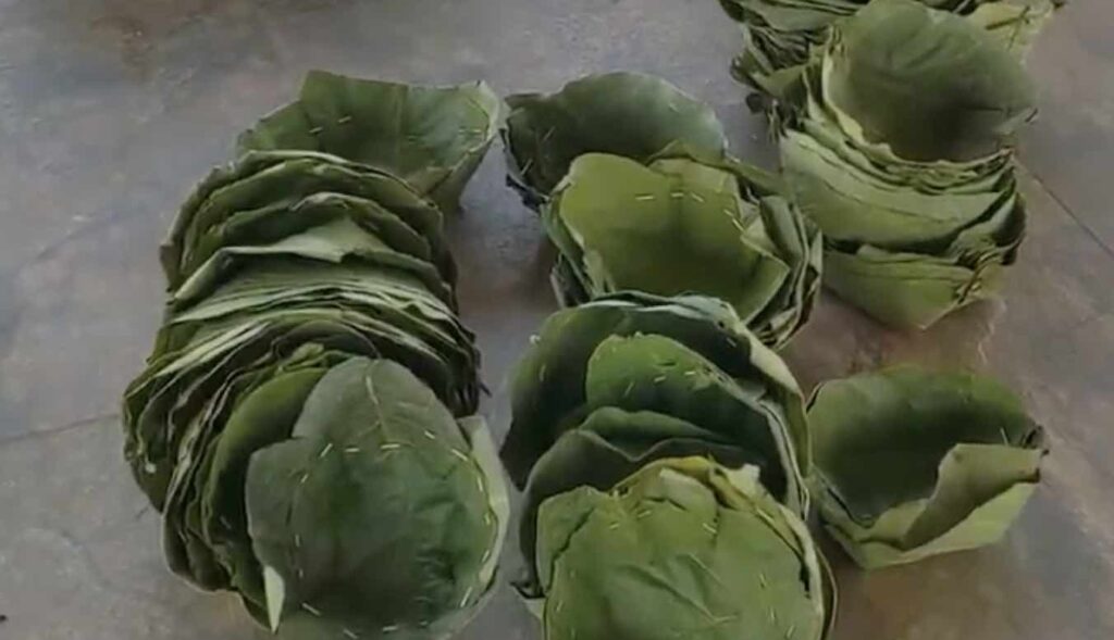 How Ancient Indian Systems Can Shape Modern Solutions